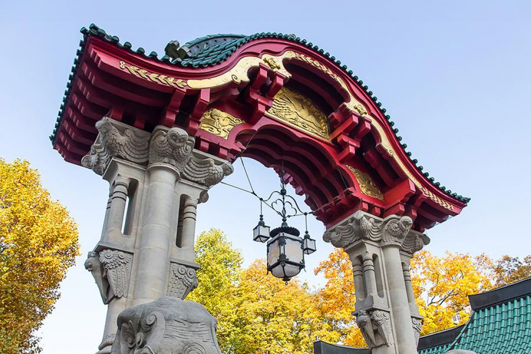 Artenschutz in Berliner Zoos | Diplomatisches Magazin